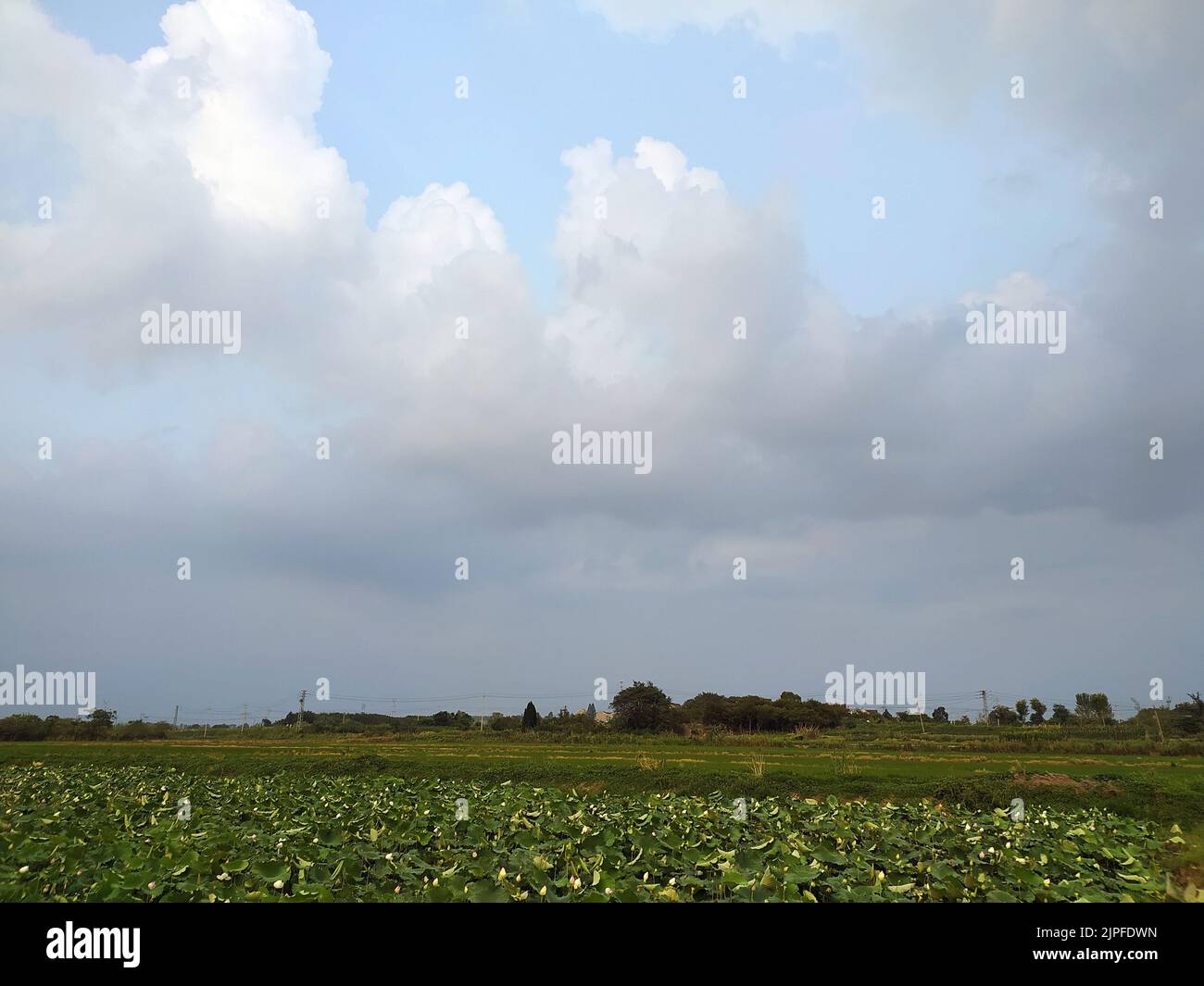 view of field and blue sky with gray clouds in summer afternoon Stock ...
