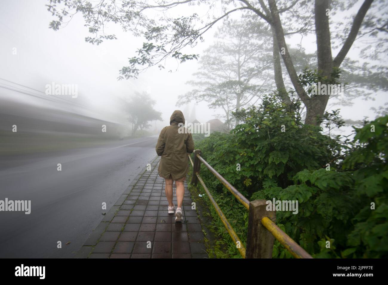 Person walking alone on a path surrounded by woods on a misty morning ...