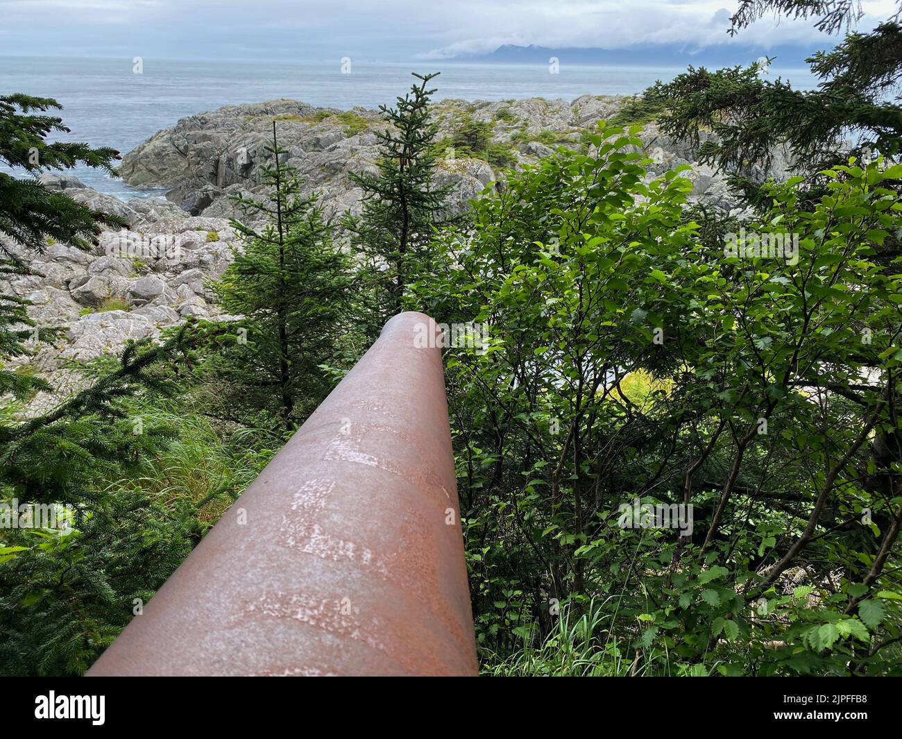 George Island, Alaska, USA. 1st Aug, 2022. The Brigadier"" is a World ...