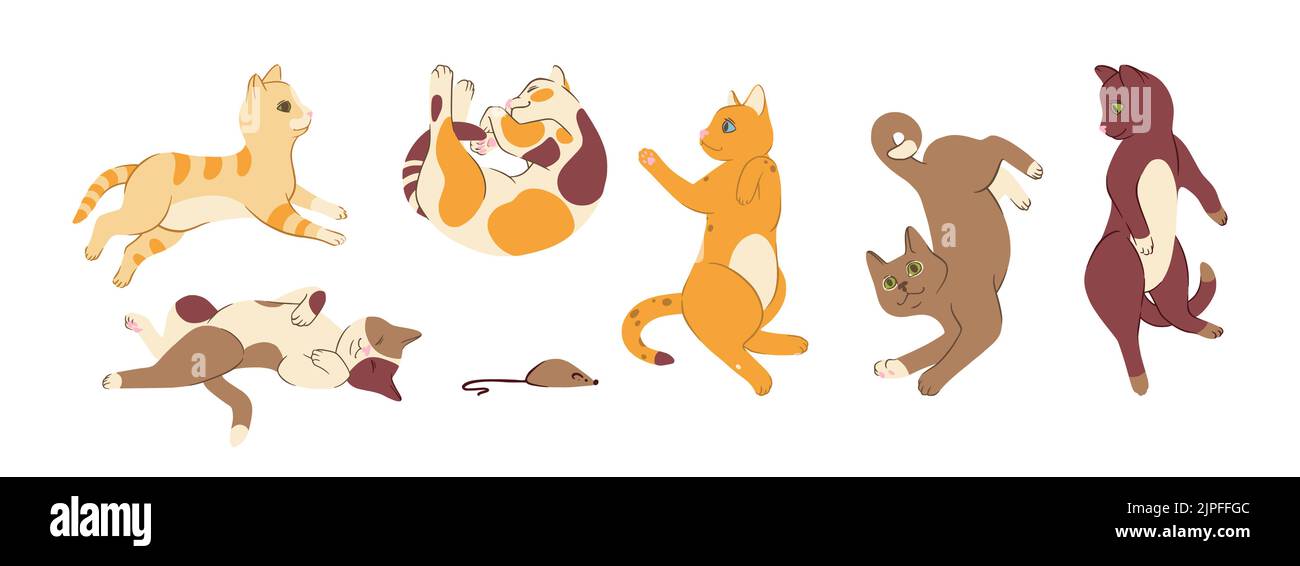 Cat poses doodle set. Colorful stickers of playful cats. Cute vector ...
