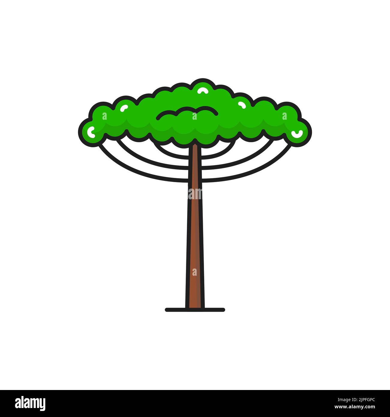 Green tropical tree icon, jungle, beach or forest and park tree, vector ...