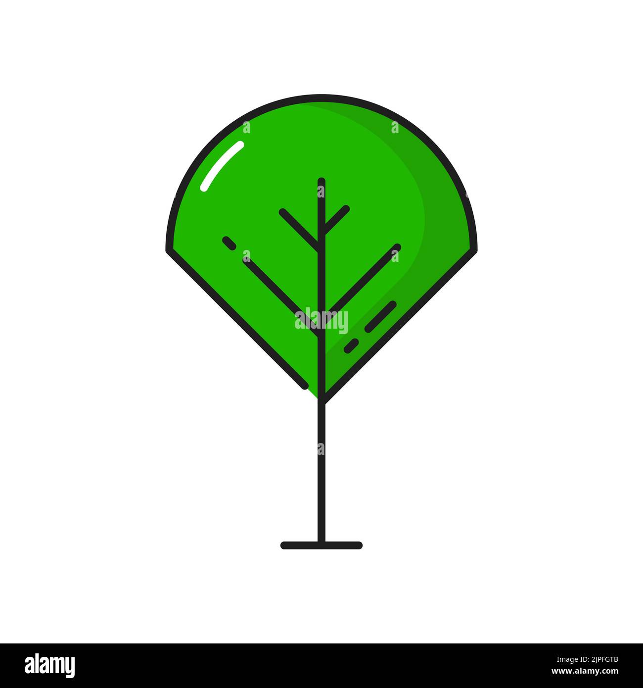 Green tree icon, forest plant or nature park plant with leaves, vector ...