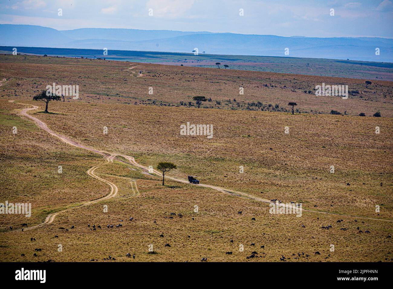 Maasai Mara National Game Reserve Narok County Kenya East Africa Great ...
