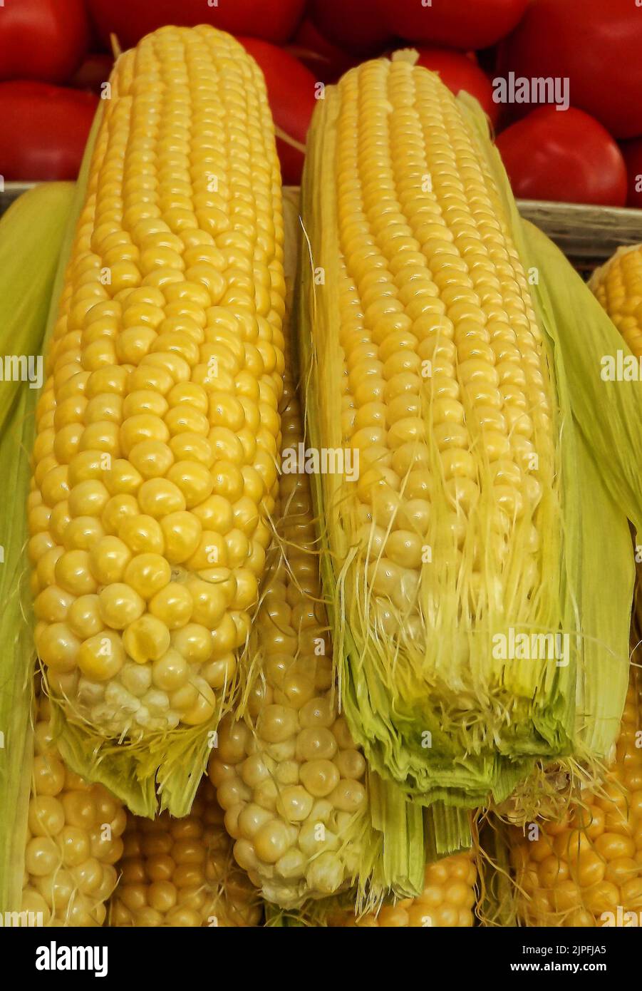 Fresh corn cobs hi-res stock photography and images - Alamy