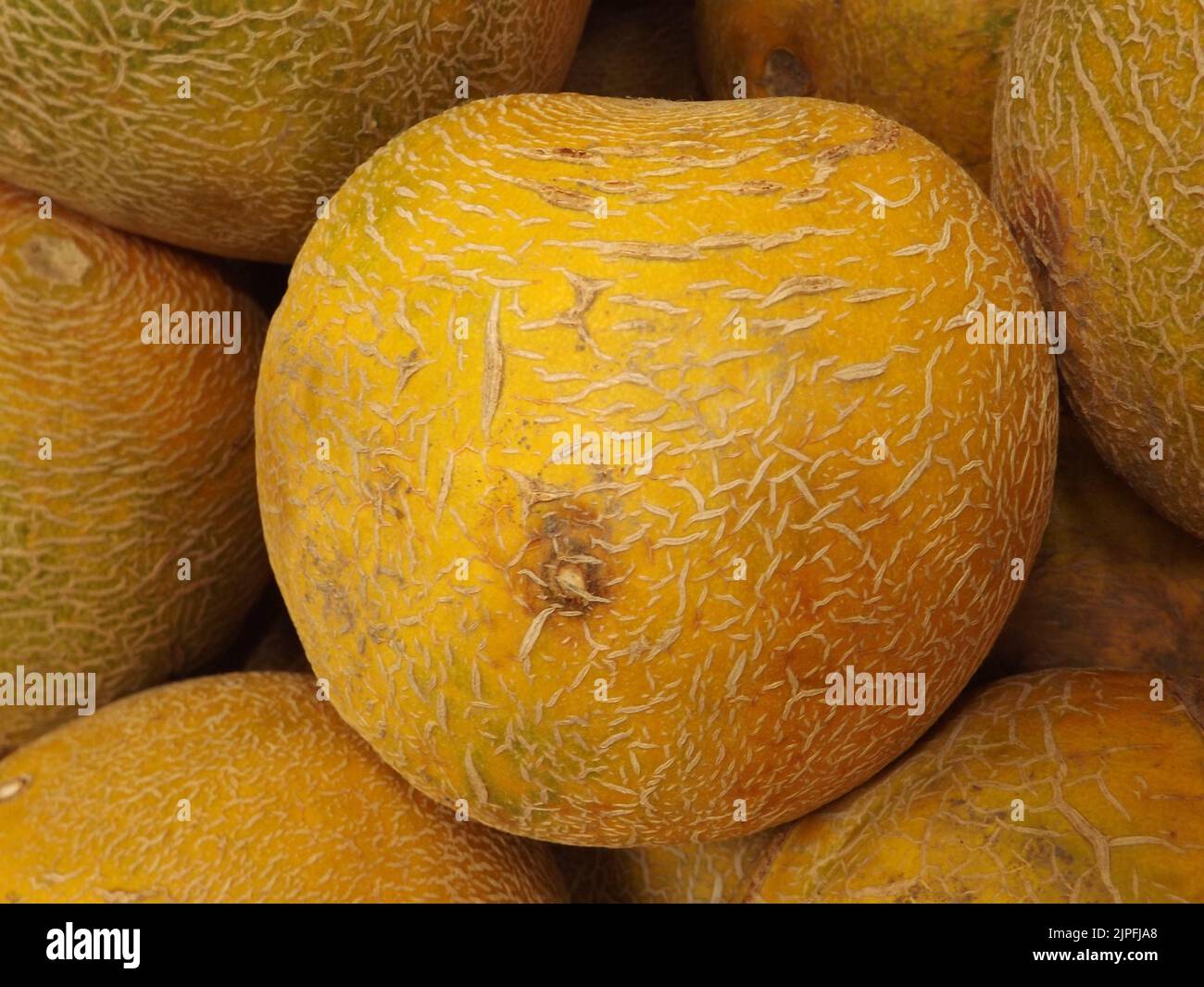Fresh melon at the market Stock Photo - Alamy