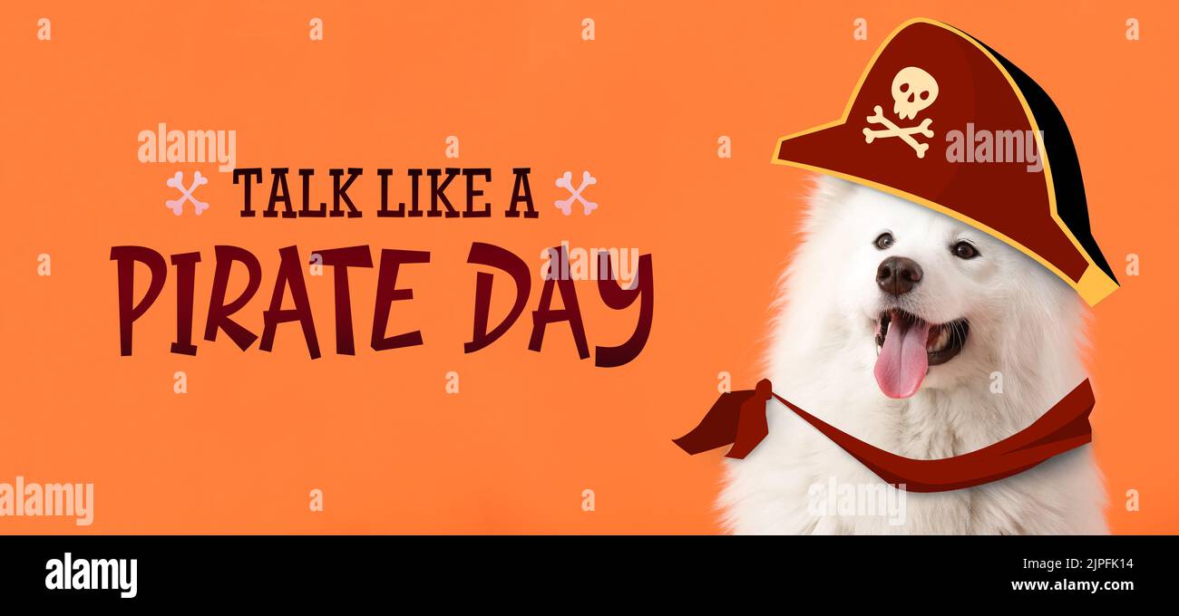 Banner with cute Samoyed dog and text TALK LIKE A PIRATE DAY on orange ...