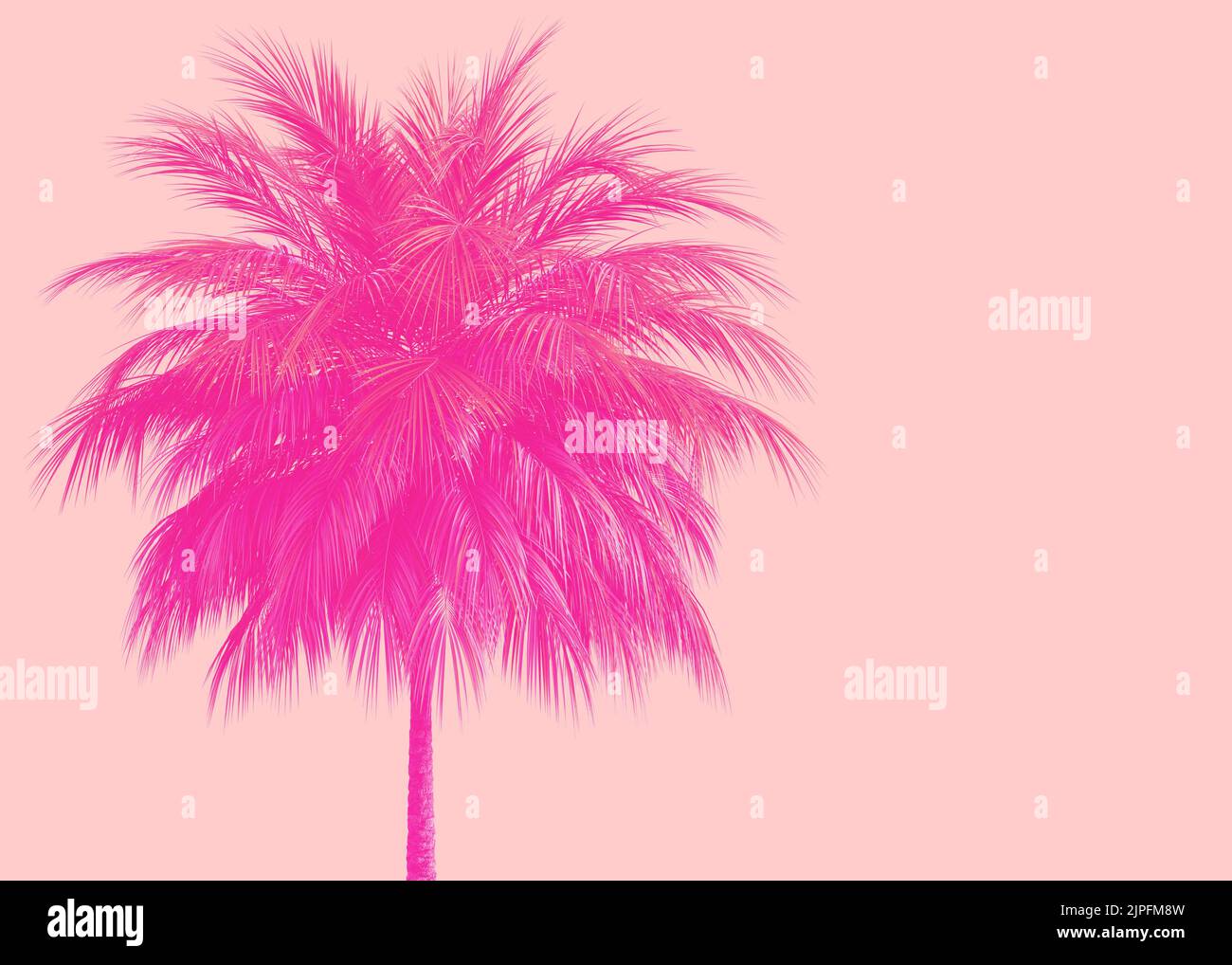 Abstract tropical palm tree with pink leaves, 3D illustration Stock ...