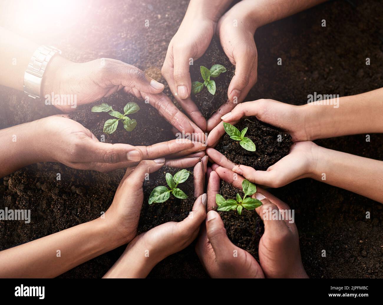 Making a difference. a group of unrecognizable people holding plants ...