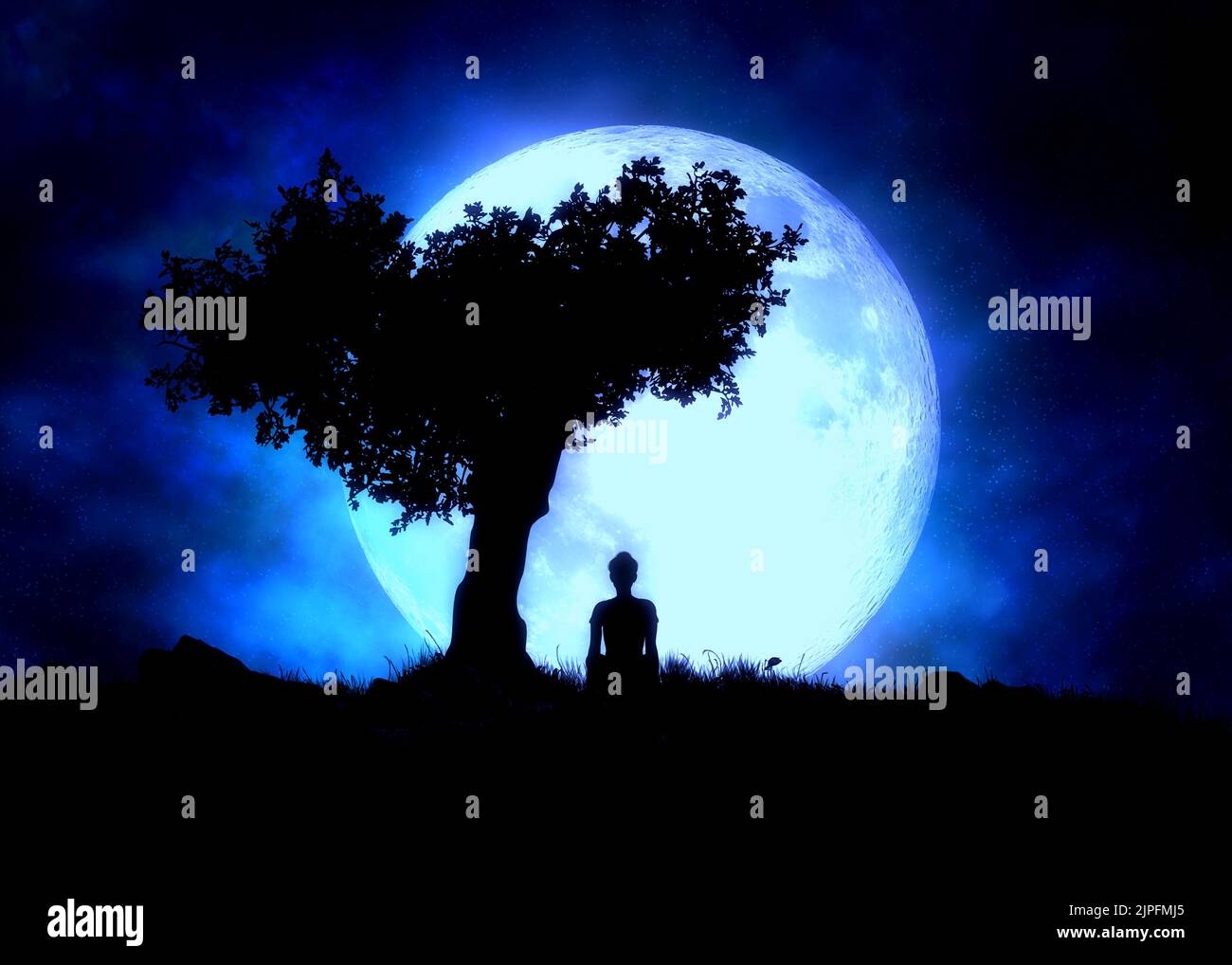 Lone tree with grass and sitting girl silhouette at night time ...