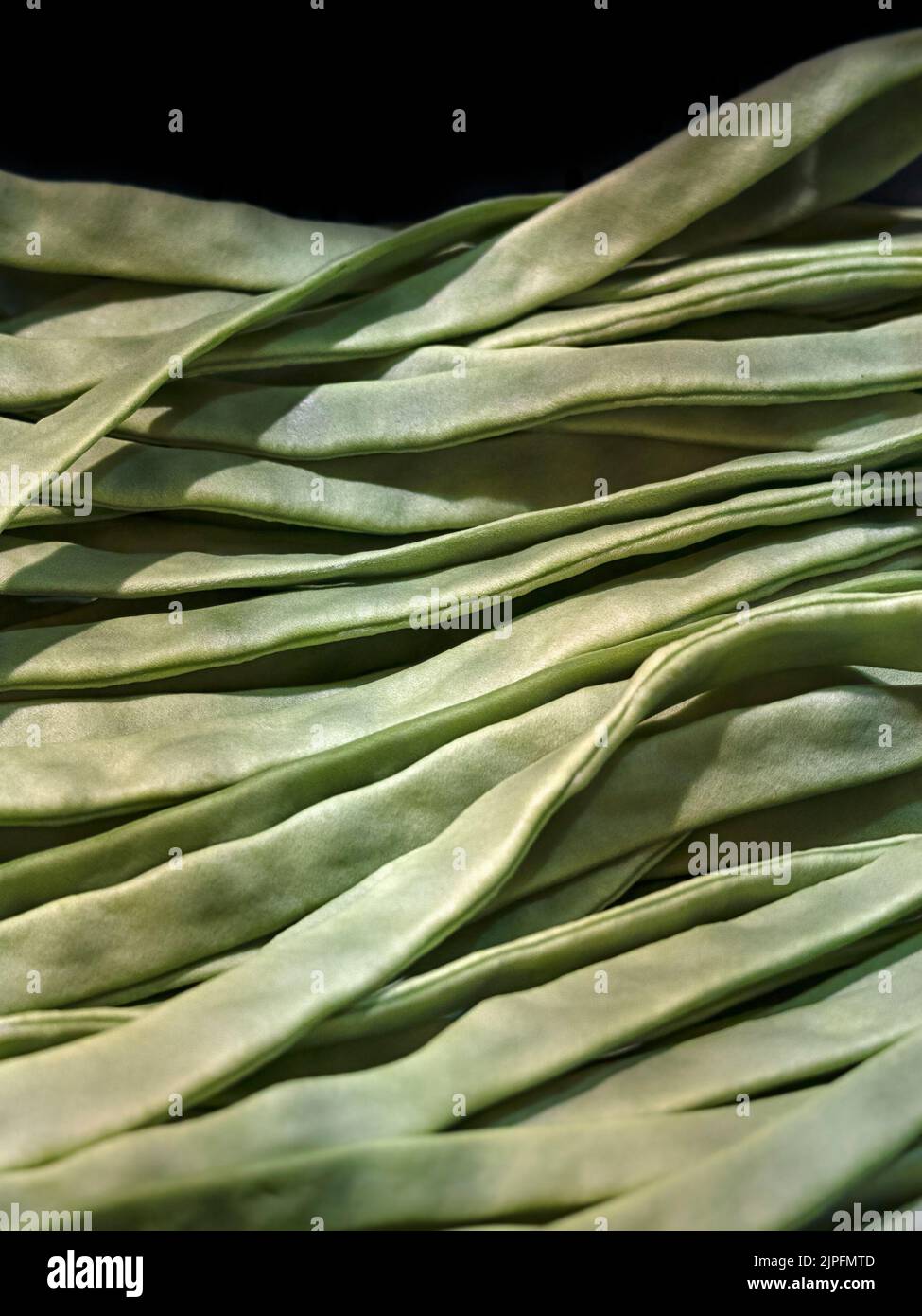 Cl20220809 hi-res stock photography and images - Alamy