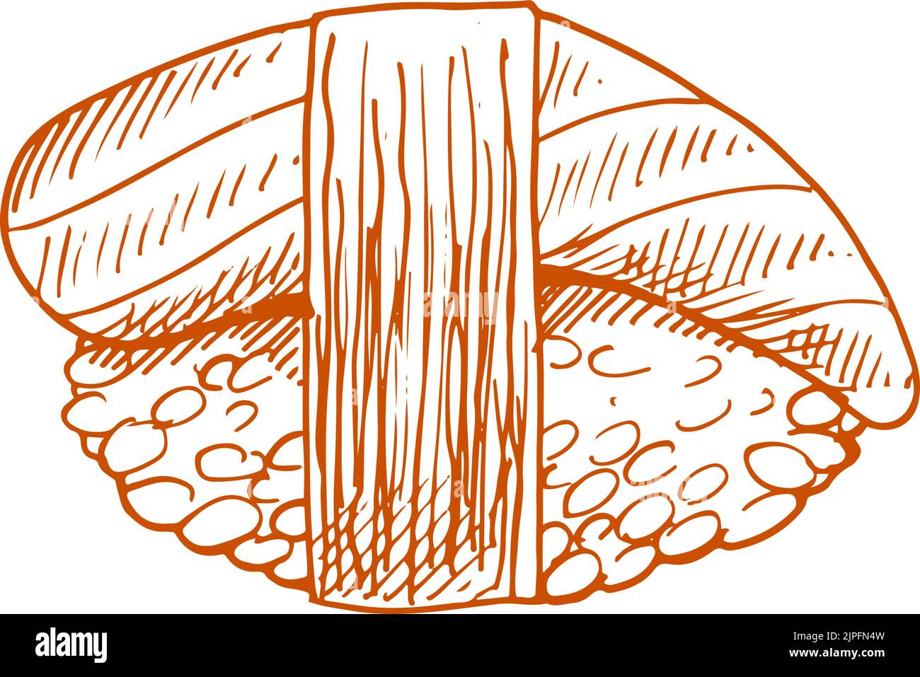 Sushi seafood with rice and salmon isolated sketch. Vector nigiri ...