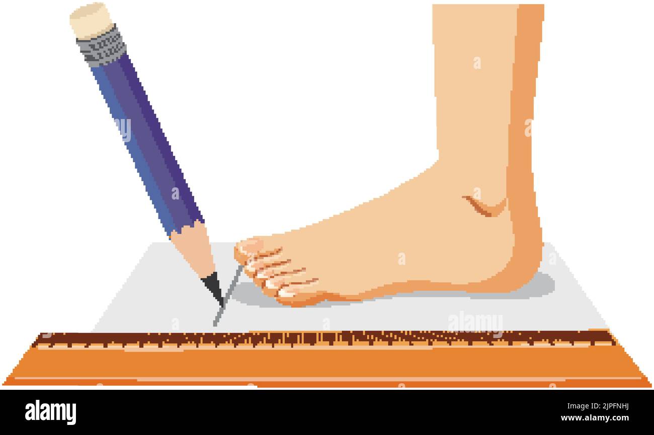 Measuring foot size vector illustration Stock Vector Image & Art - Alamy