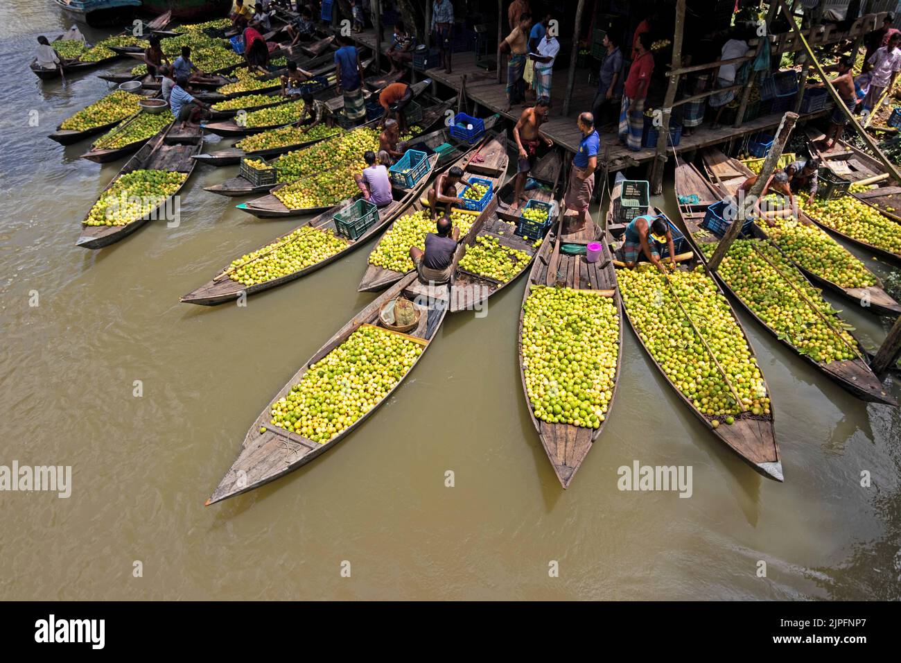 Barisal, Barisal, Bangladesh. 18th Aug, 2022. A Floating Guava market ...