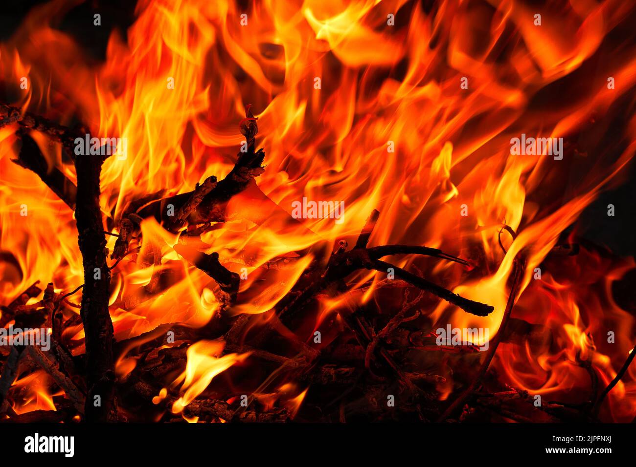beautiful fire flames burn dry twigs at night Stock Photo - Alamy