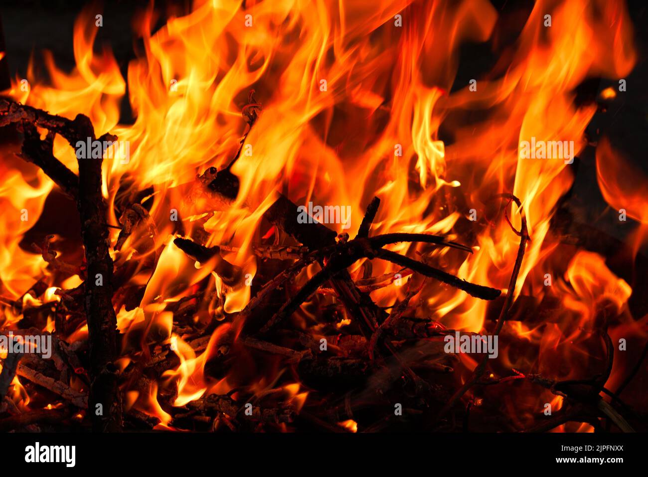 beautiful fire flames burn dry twigs at night Stock Photo - Alamy