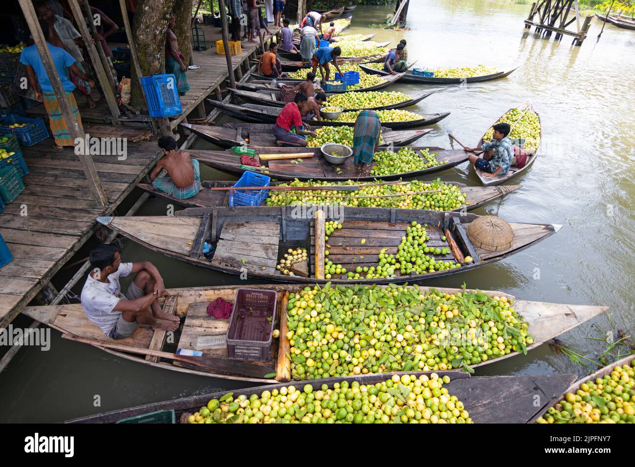 Barisal, Barisal, Bangladesh. 18th Aug, 2022. A Floating Guava market ...