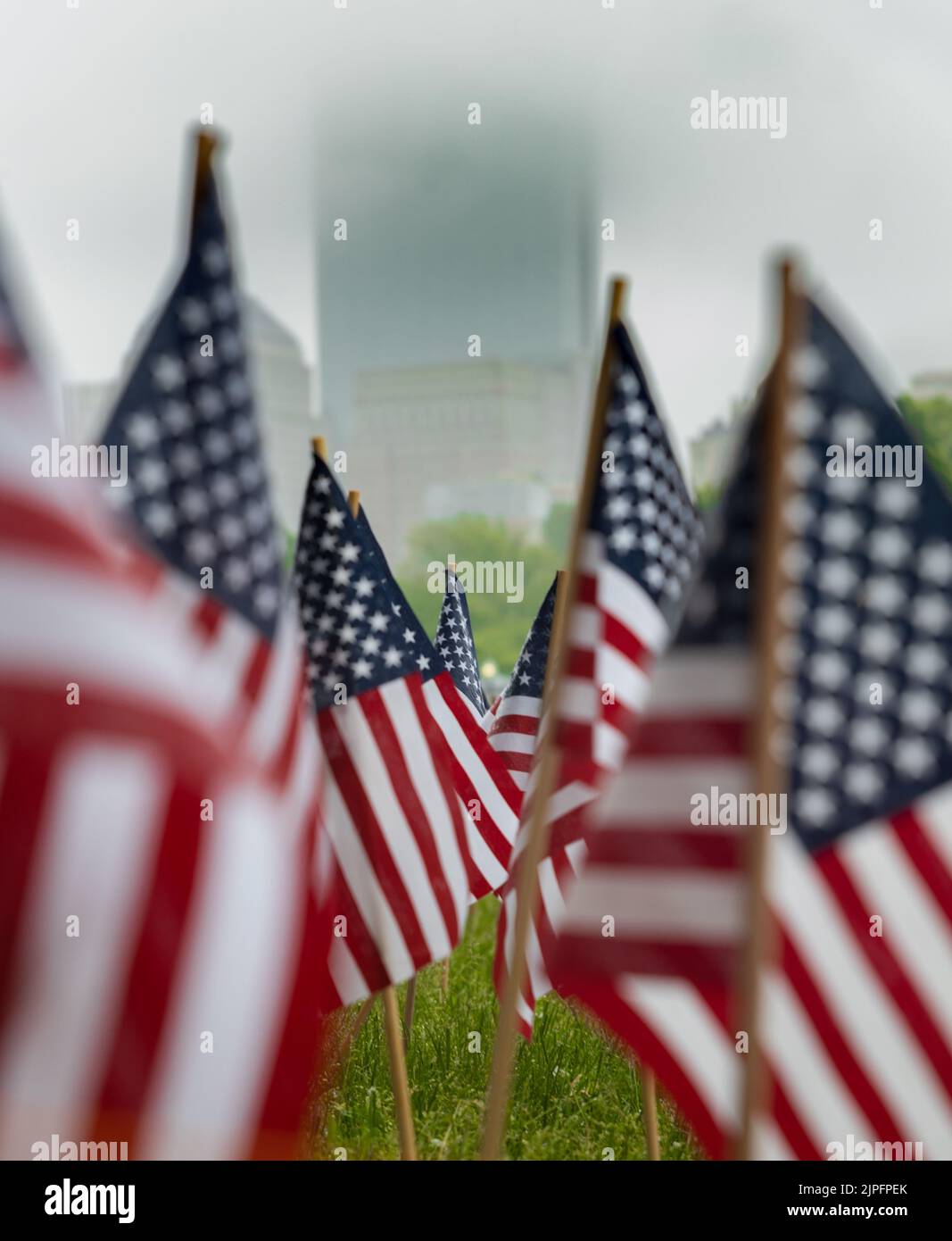 An American Flags at a memorial day event for fallen military service ...