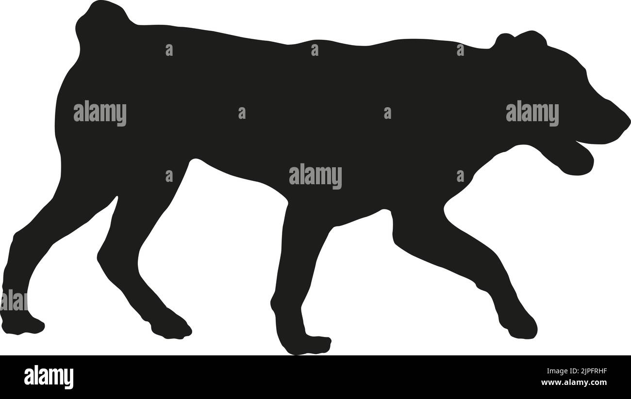 Walking central asian shepherd dog puppy. Black dog silhouette. Alabai ...