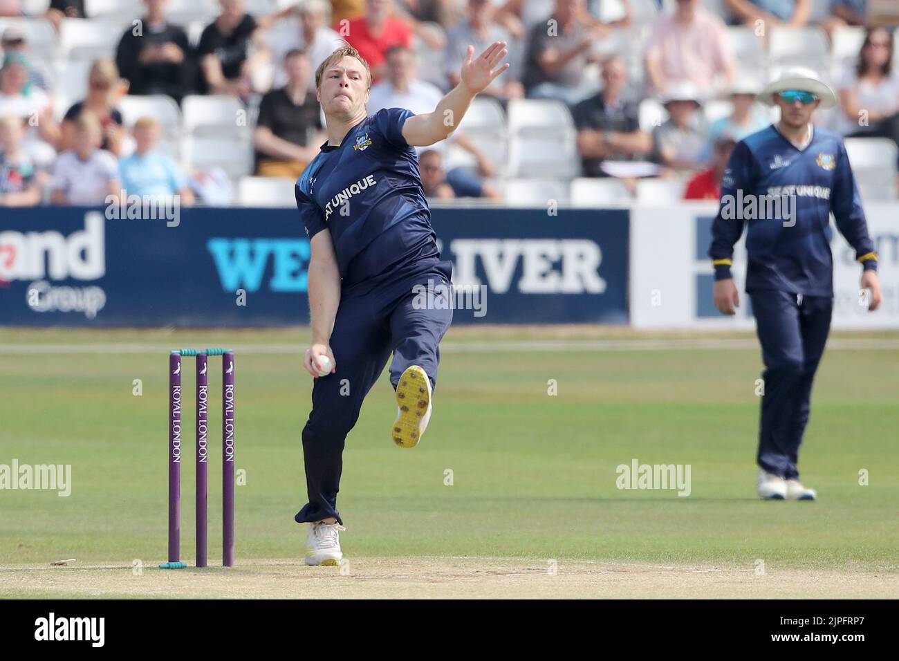 Matthew waite hi-res stock photography and images - Alamy
