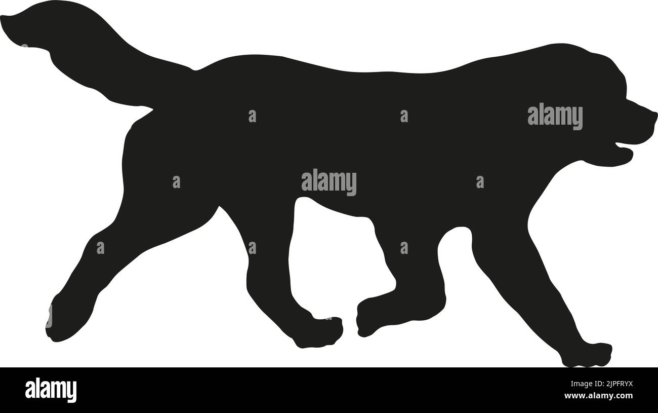 Running newfoundland puppy. Black dog silhouette. Pet animals. Isolated ...