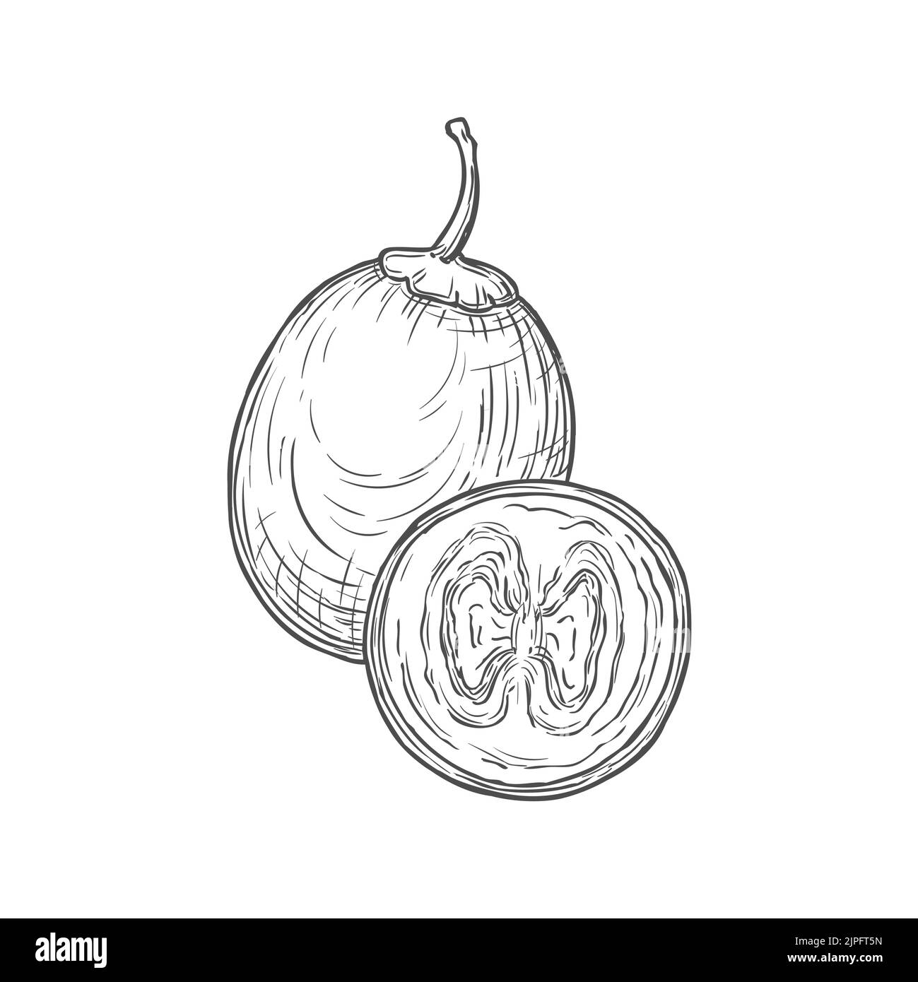 árbol vector hi-res stock photography and images - Alamy