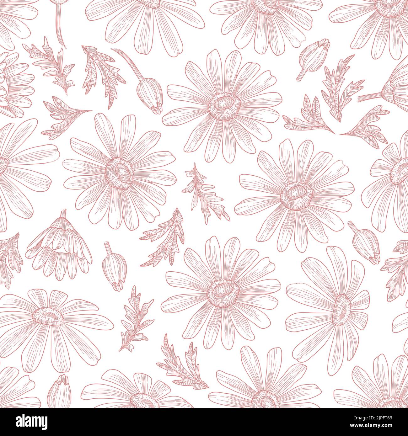 Garden flower pattern outline hand drawn vector. Floral seamless Stock ...