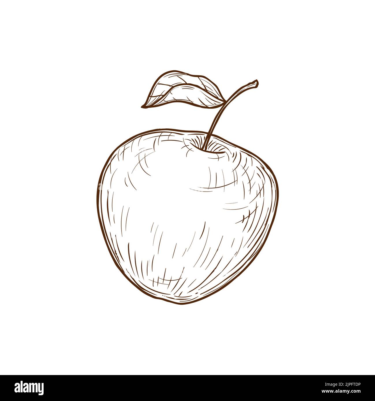 Apple fruit with stem and leaf isolated hand drawn sketch. Vector ...