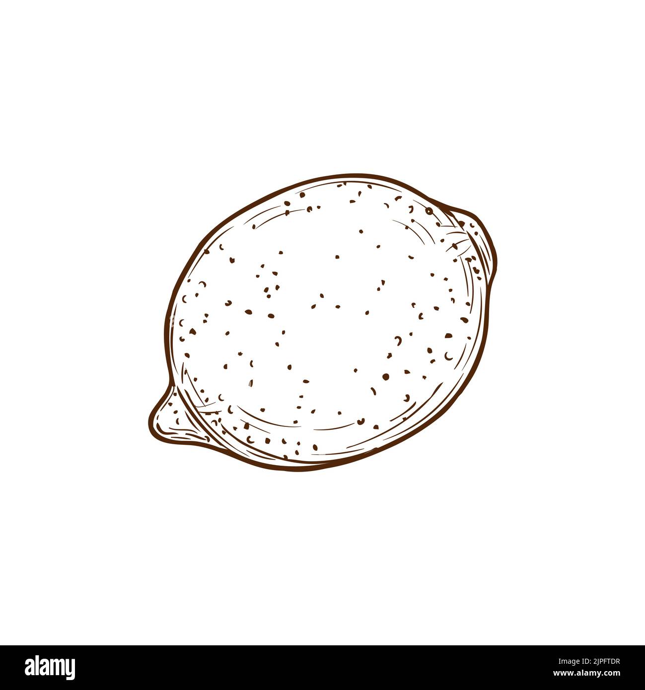 Whole one lemon isolated hand drawn sketch. Vector ripe citrus sour ...