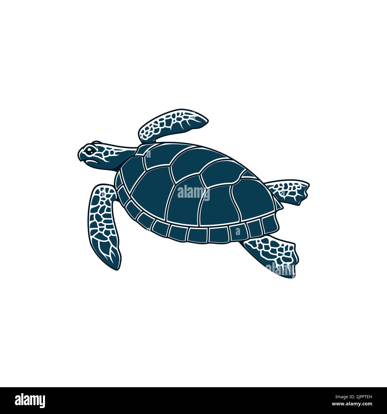 Sea turtle reptile, nautical tortoise with cartilaginous carapace ...