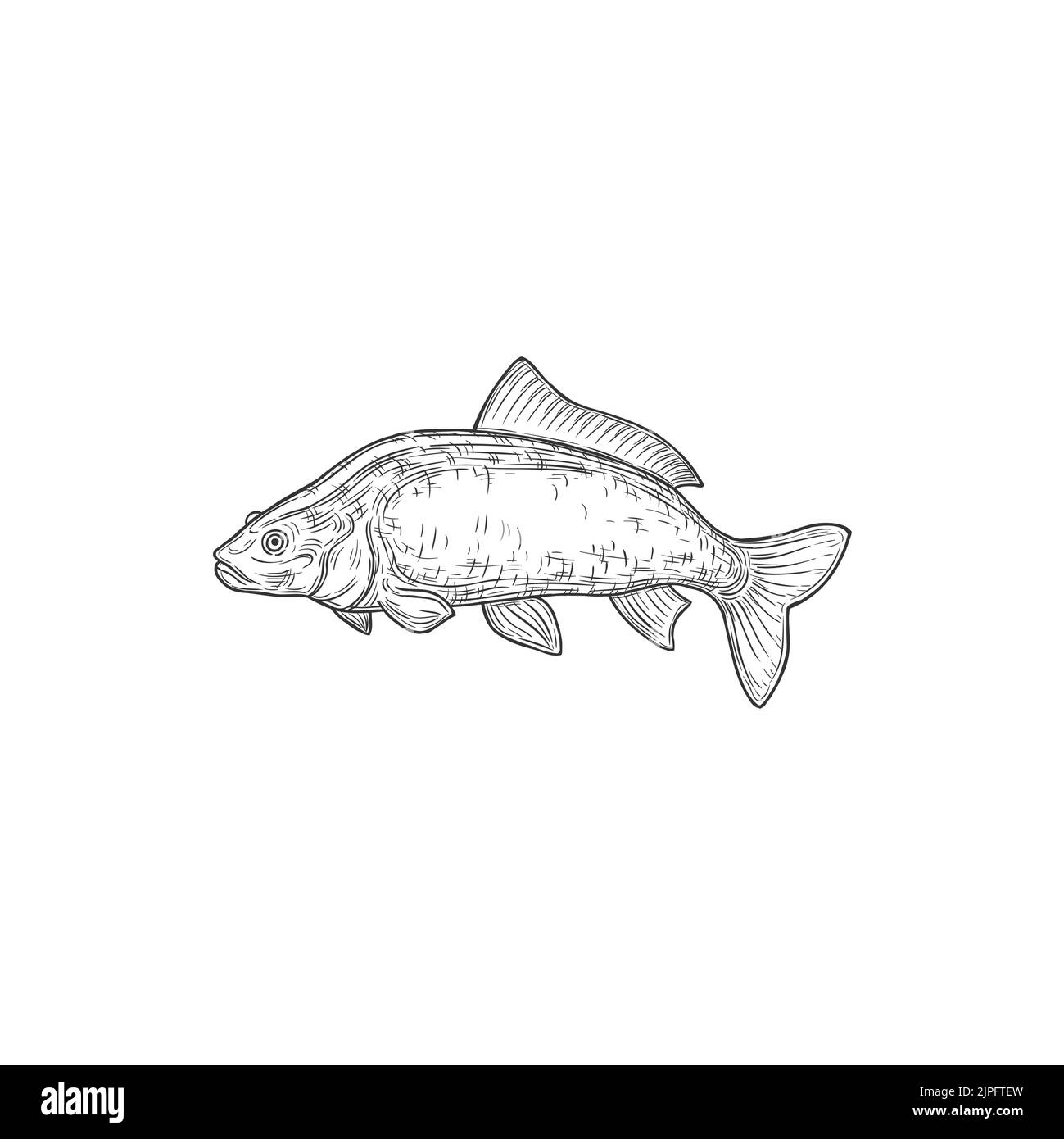 Lakes ponds rivers Stock Vector Images - Alamy