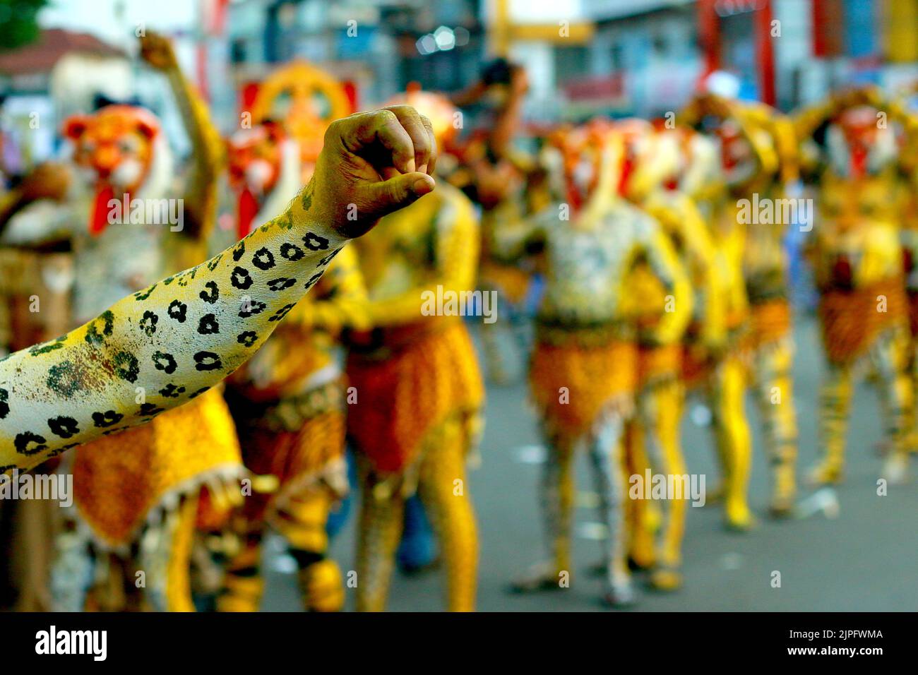 Tigerdance hi-res stock photography and images - Alamy