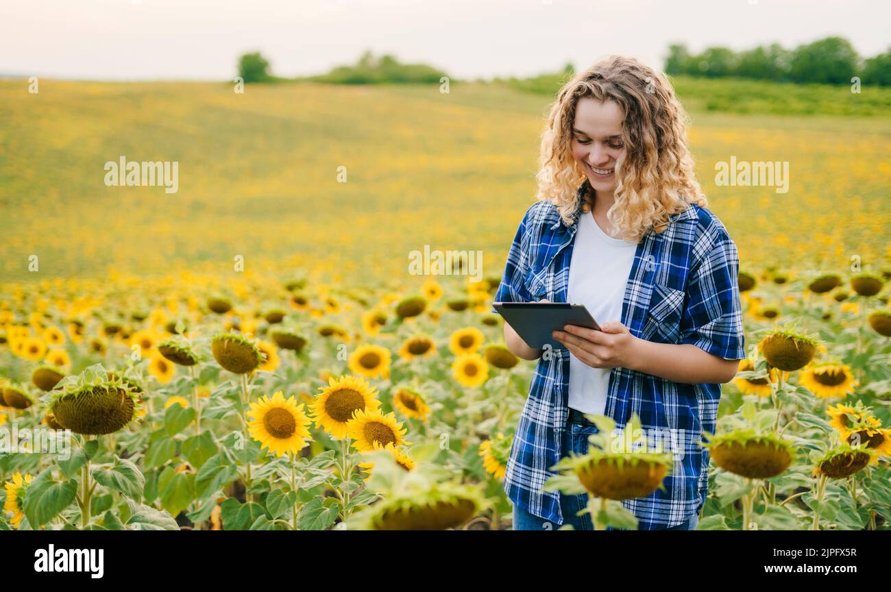 Copy space. Smiling curly woman standing in the sunflower field and ...
