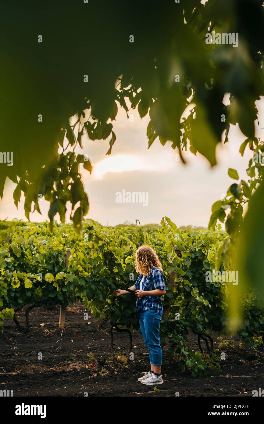 Smart farming controller hi-res stock photography and images - Alamy