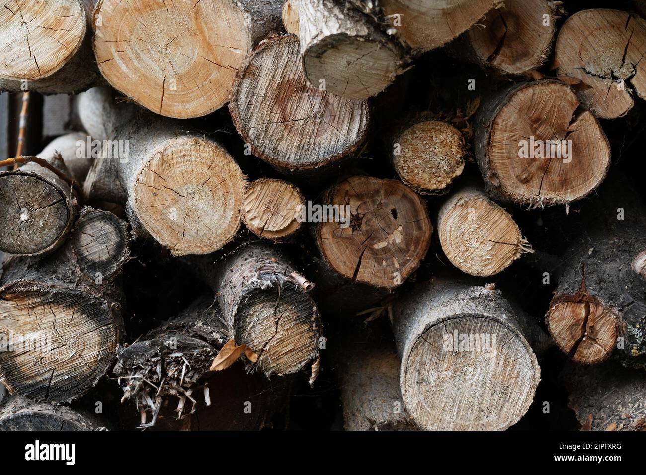 Chopped and sawn trees in a woodpile at a sawmill.Energy and Raw ...