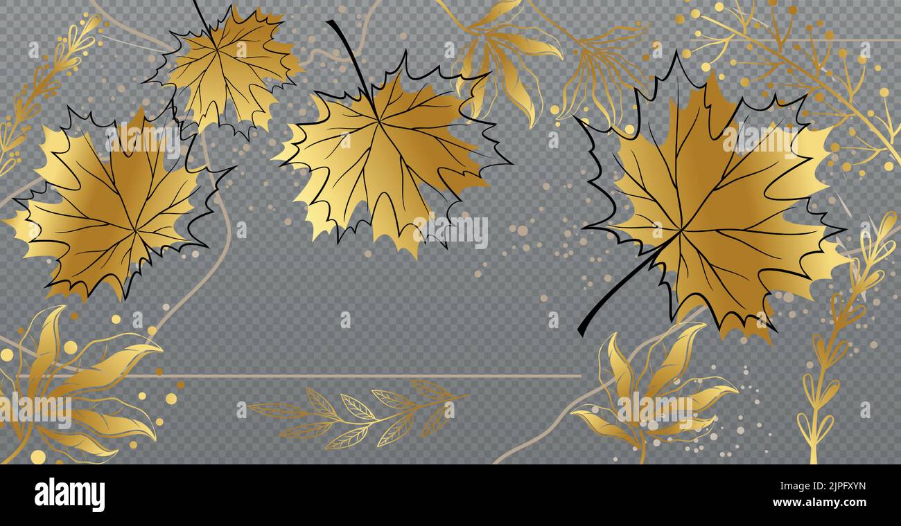 Autumn red and yellow maple leaves, web template transparent background ...