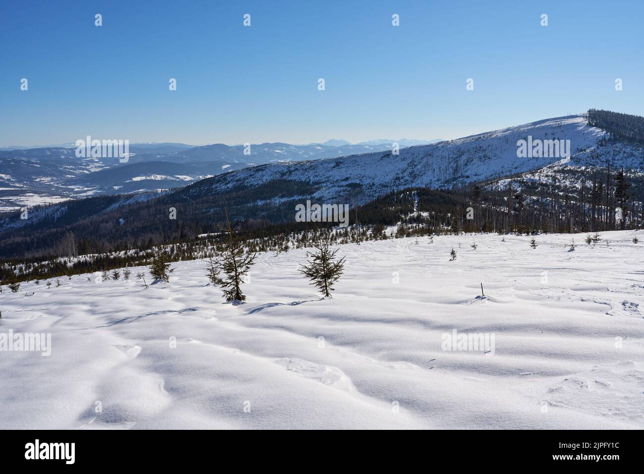 Snowy field and Barania Gora peak at Silesian Beskid near european ...