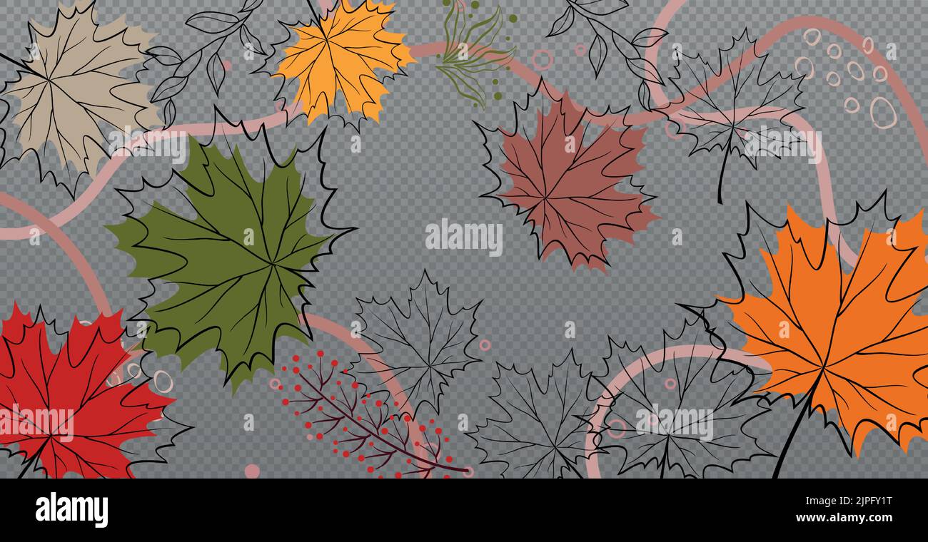 Autumn red and yellow maple leaves, web template transparent background ...