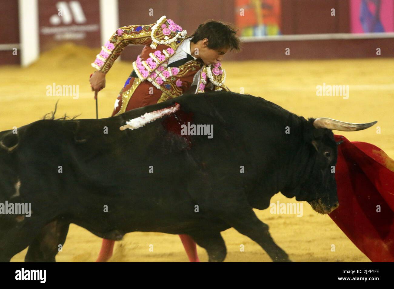 August 18, 2022: August 17, 2022 (malaga) Roca Rey opens the big door ...