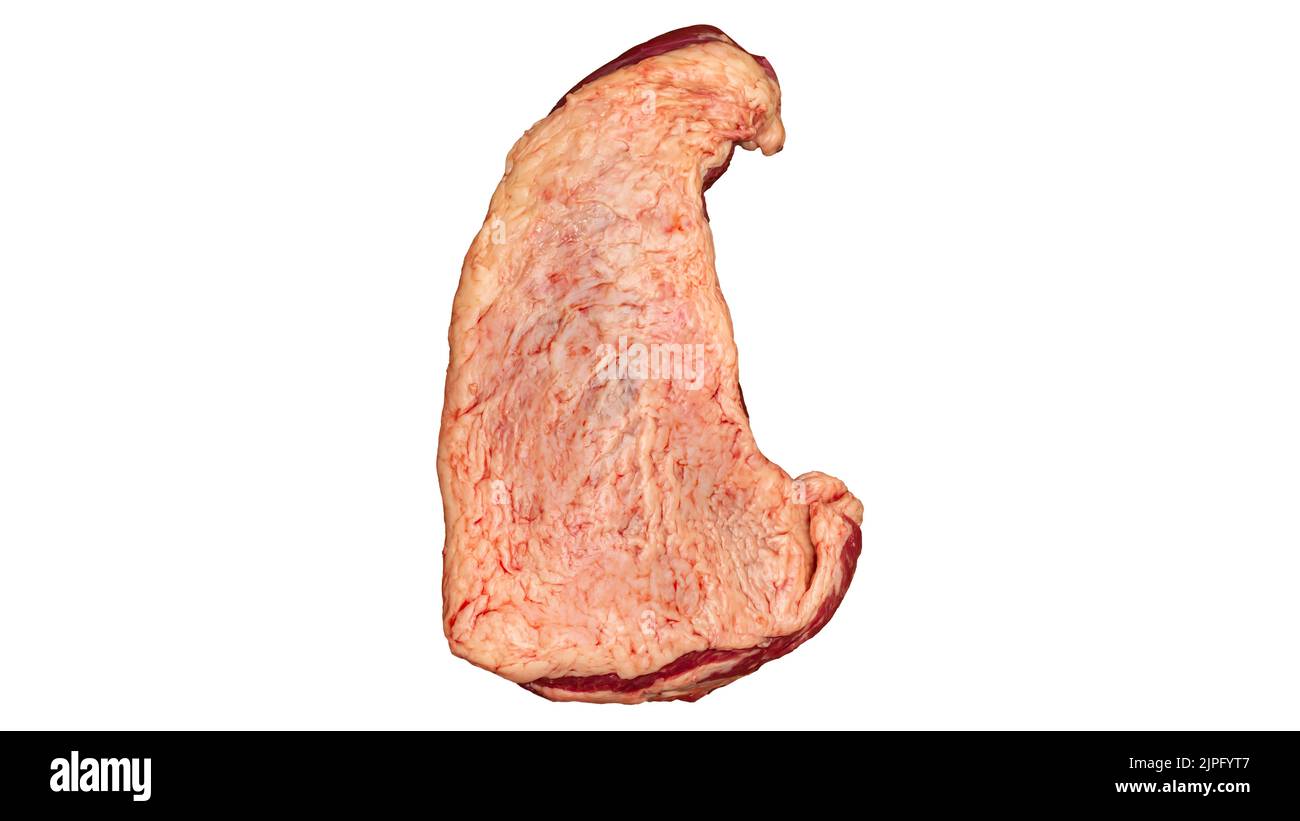 delicious whole tri-tip isolated on white background Stock Photo - Alamy