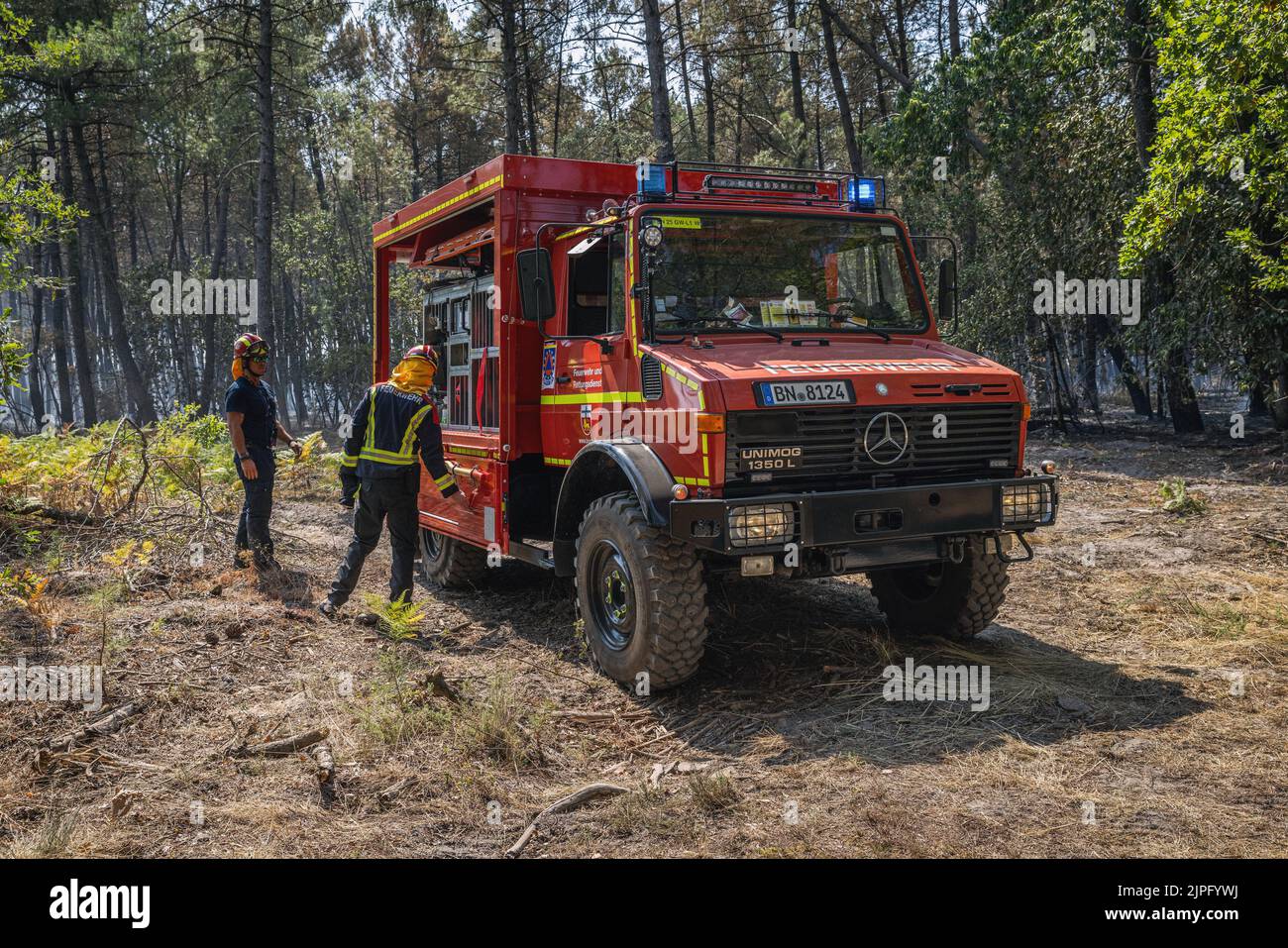 Photo dated August 12, 2022 of German firefighters battle a wildfire in ...