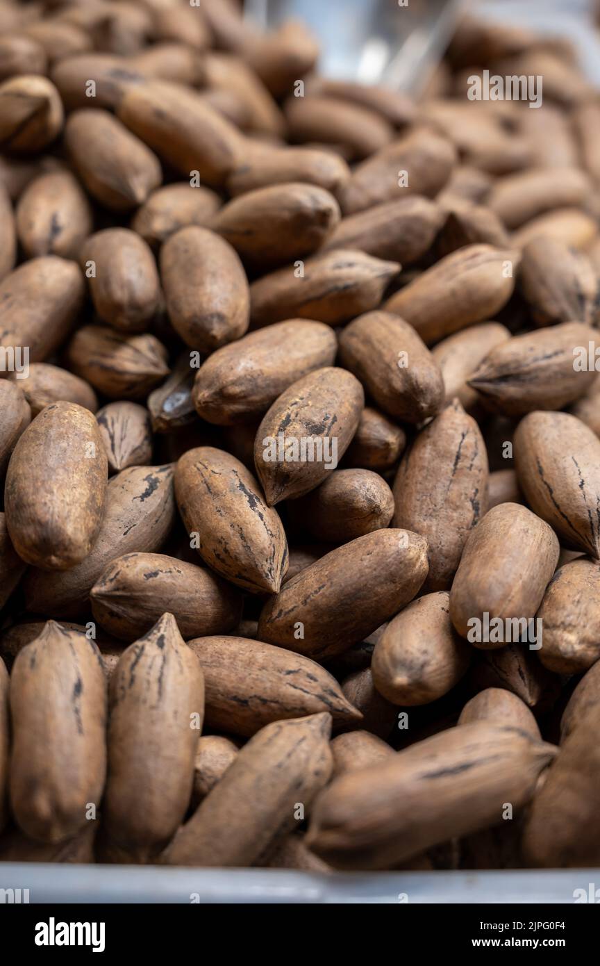 Roasted unpeeled pecan nuts, tasty healthy vegetarian food background ...