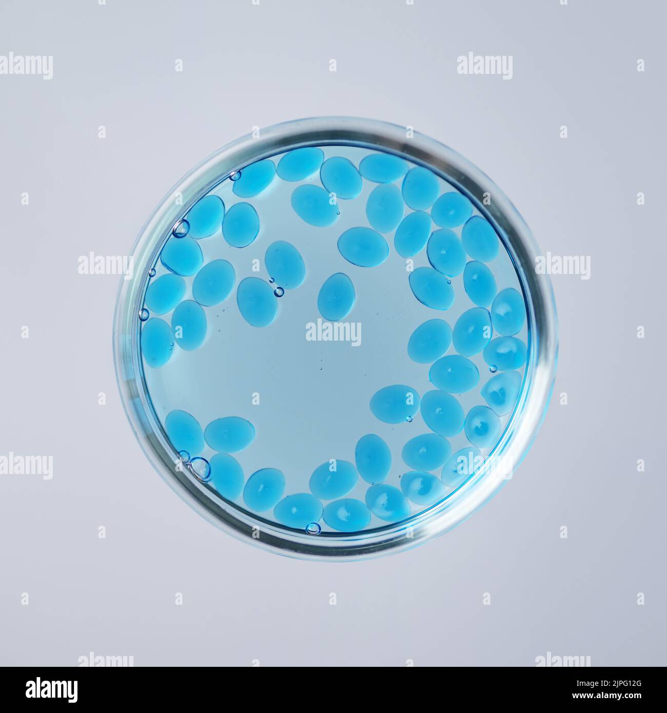 In vitro fertilisation concept. Artificial insemination or fertility ...