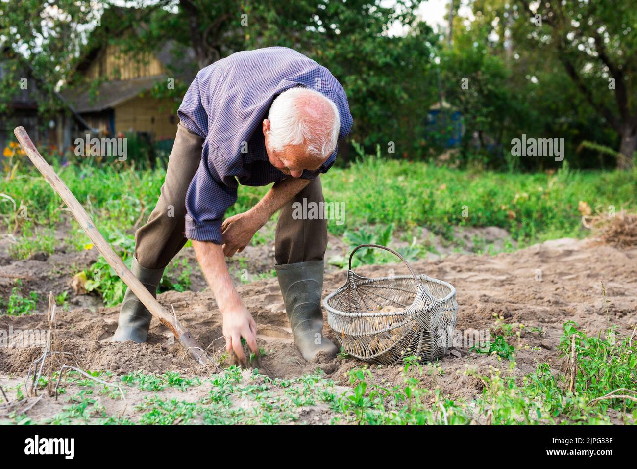 Elderly man digging up soil hi-res stock photography and images - Alamy