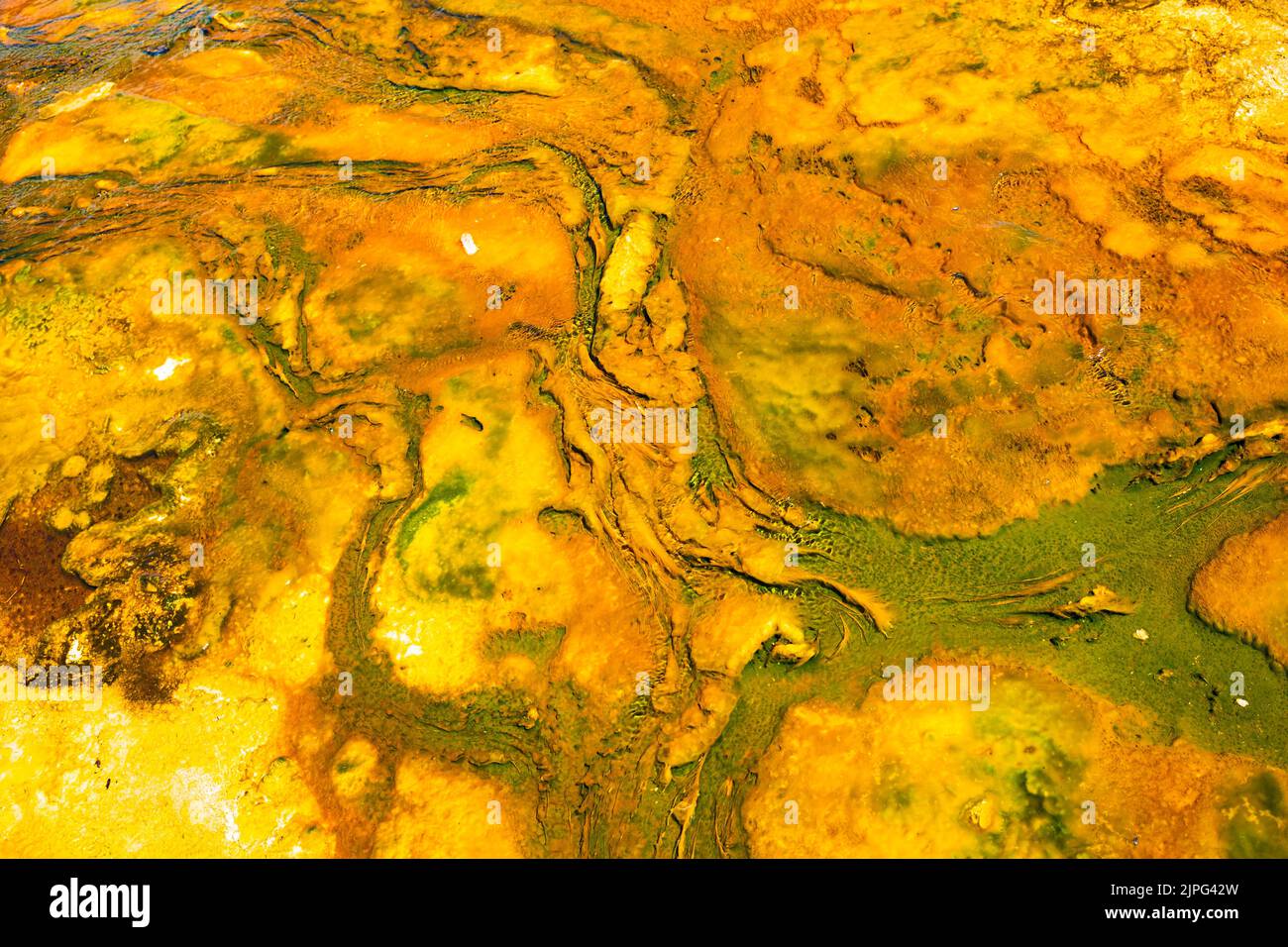 The Upper Geyser Basin, which is the location of Old Faithful Geyser ...