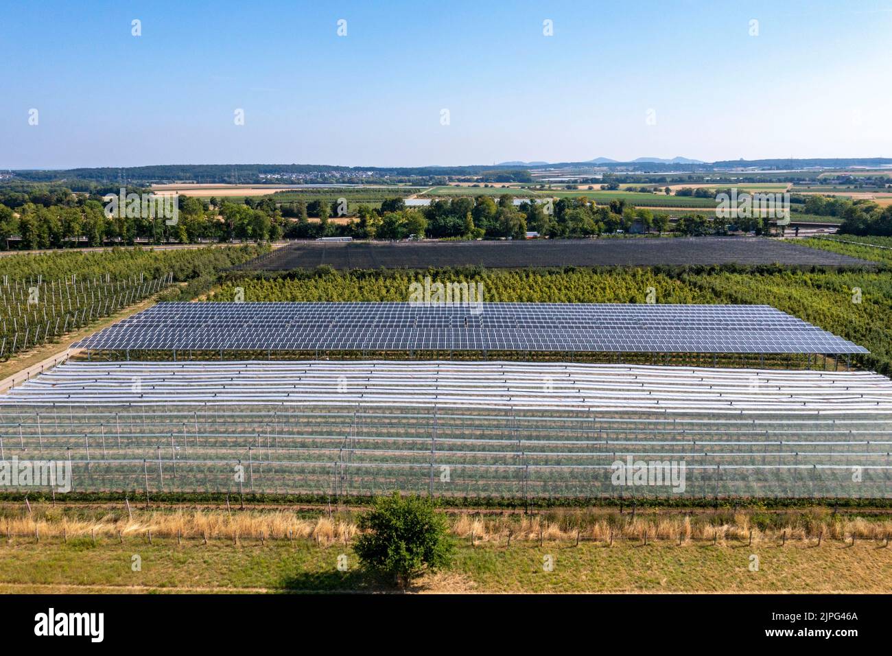 Agri pv fruit growing plant hi-res stock photography and images - Alamy
