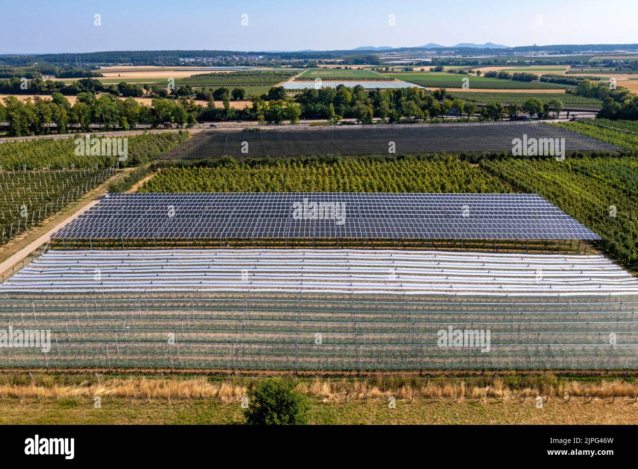 Agri-photovoltaic test facility, an apple orchard was covered with two ...