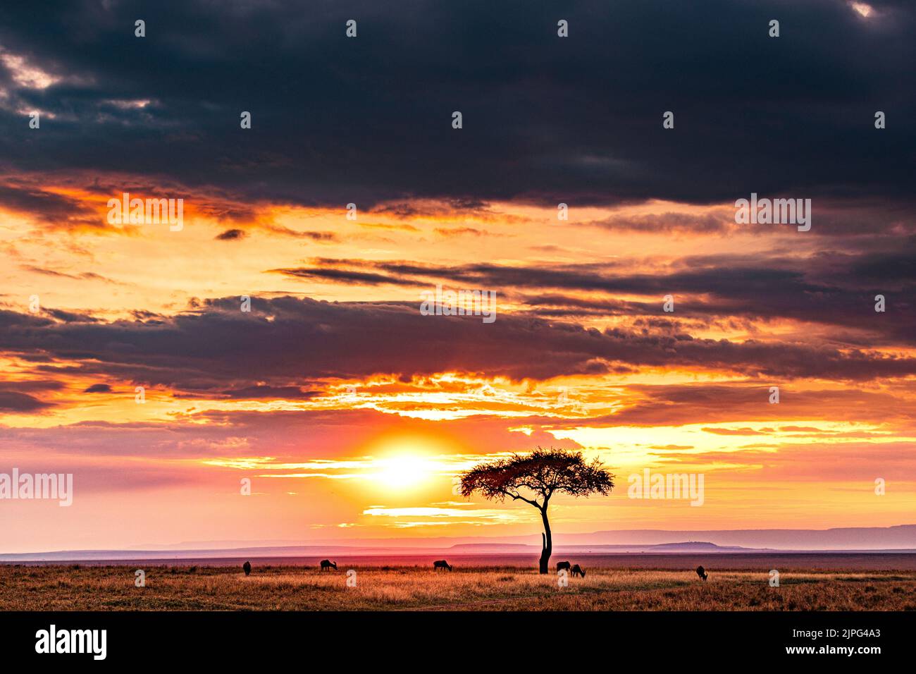 Maasai Mara National Game Reserve Sunset Sunrise Sundowner great Rift ...