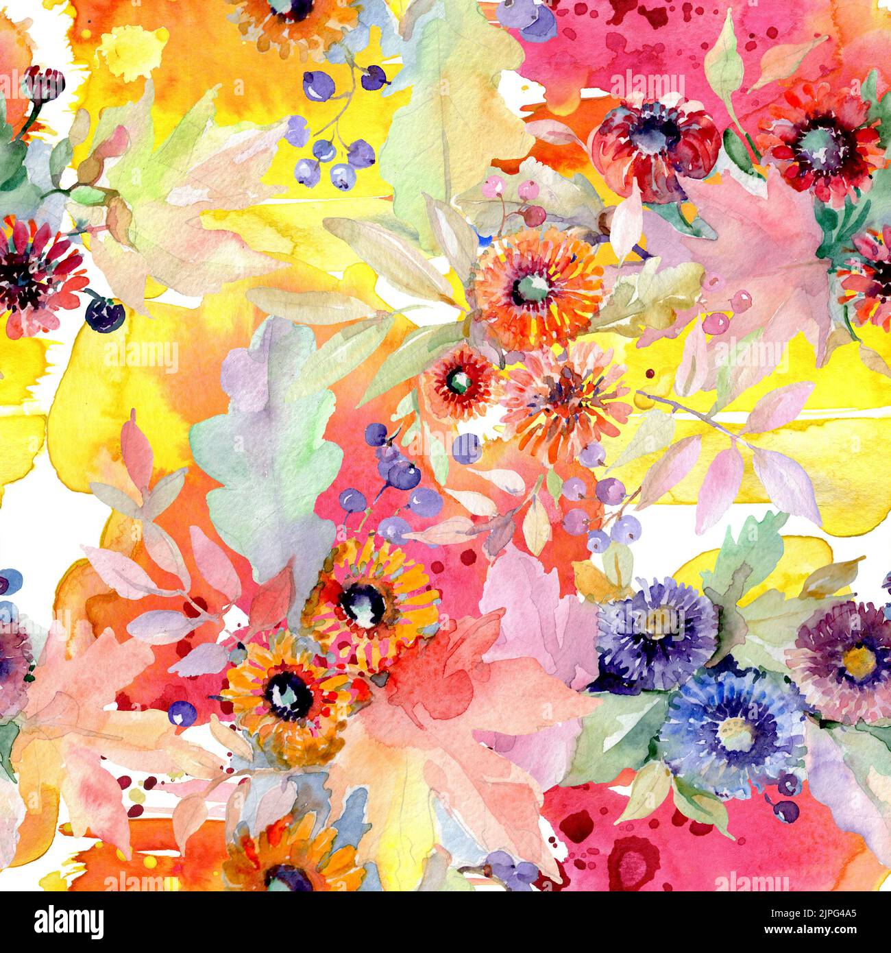 Bouquet floral botanical flowers. Wild spring leaf wildflower isolated ...