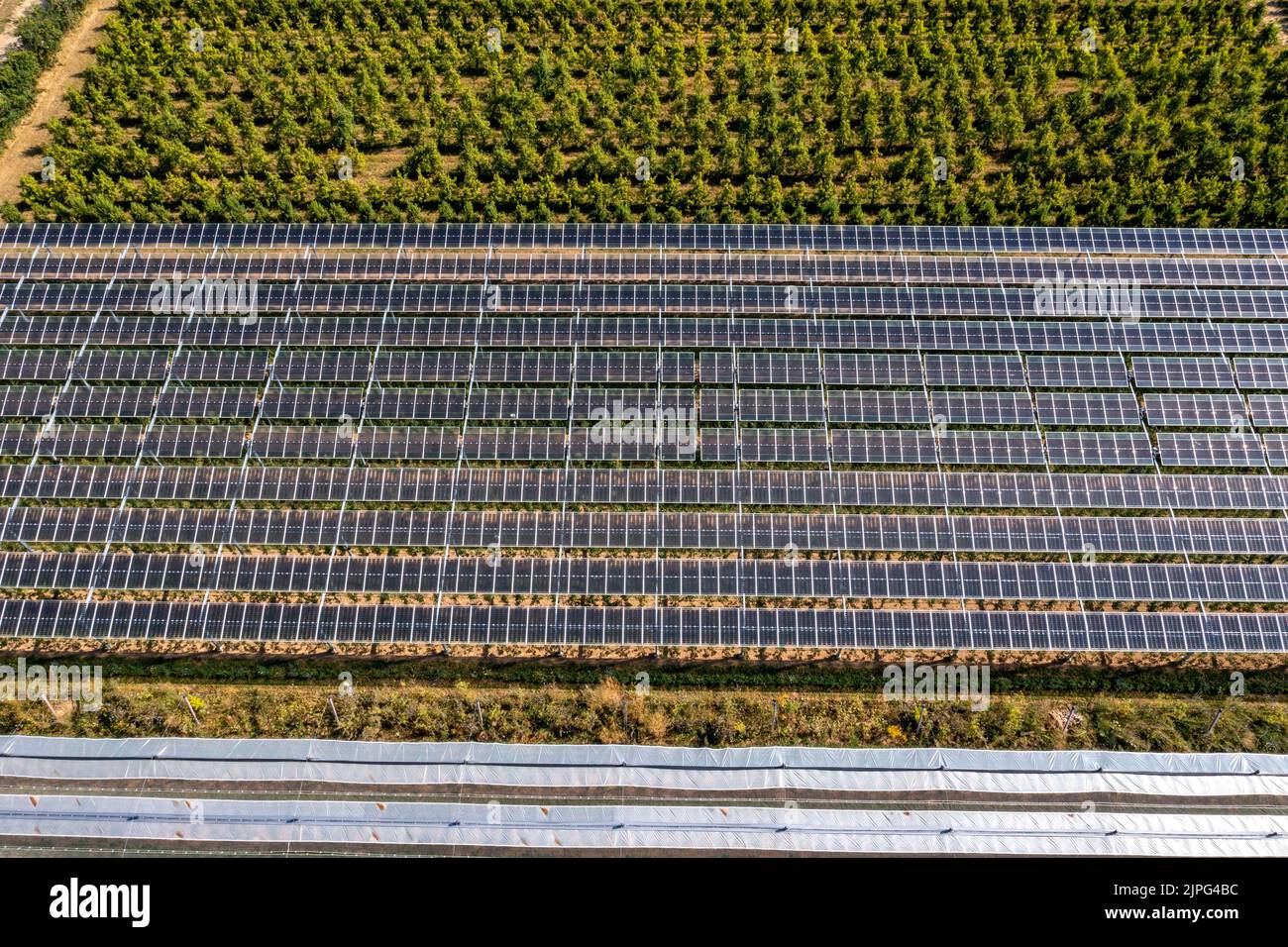Agri-photovoltaic test facility, an apple orchard was covered with two ...