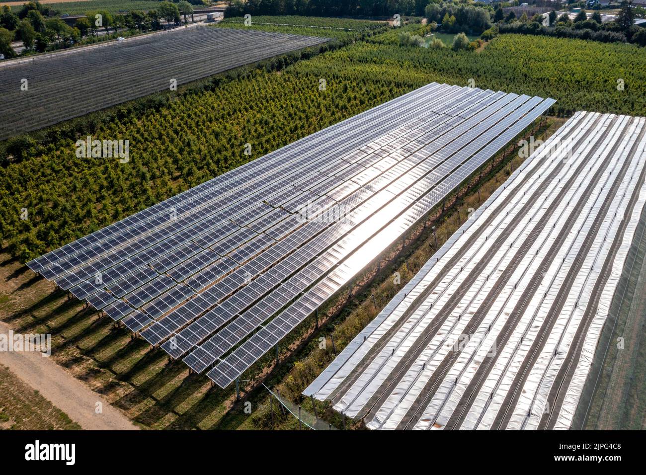 Agri-photovoltaic test facility, an apple orchard was covered with two ...